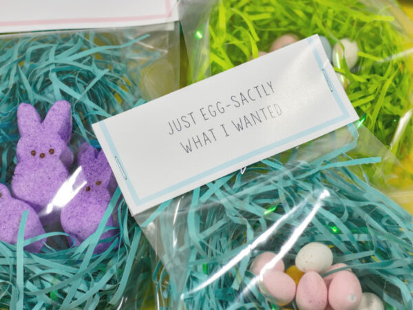 200+ Awesome Cute Easter Puns & Captions To Post On - Personalized Gift ...